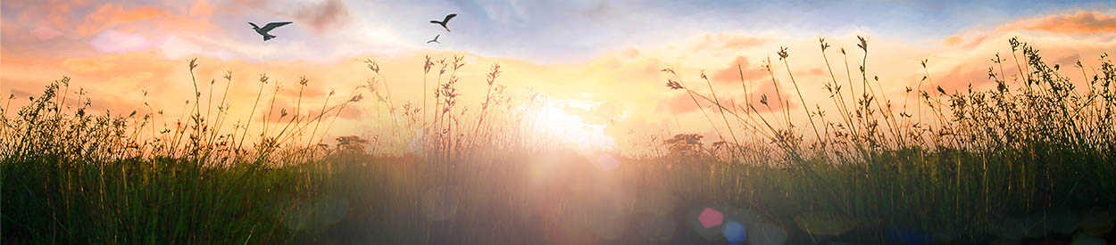 Cornerstone Lower Tier