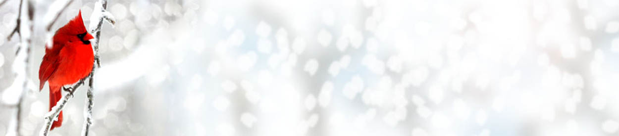 Cornerstone Lower Tier